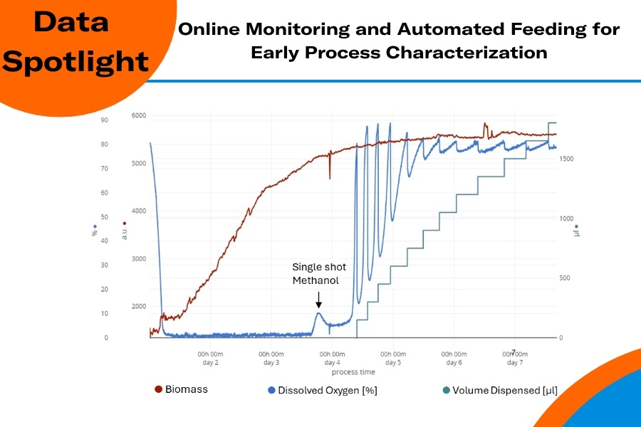 Data Spotlight - Online Monitoring and Automated Feeding for Early Process Characterization